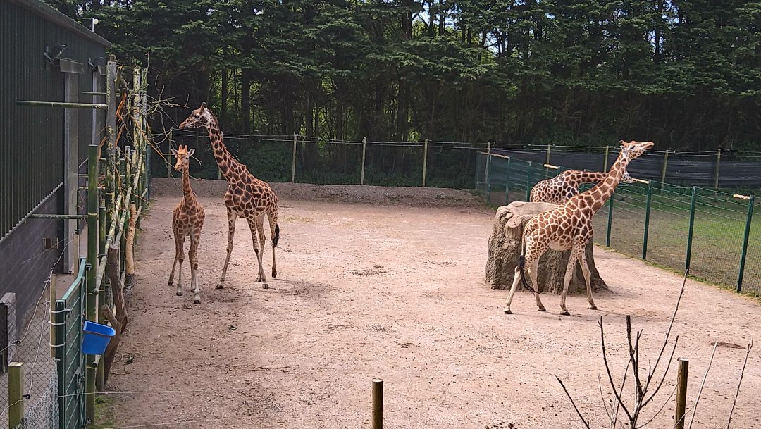 Blackpool Zoo - Discover The Outdoors