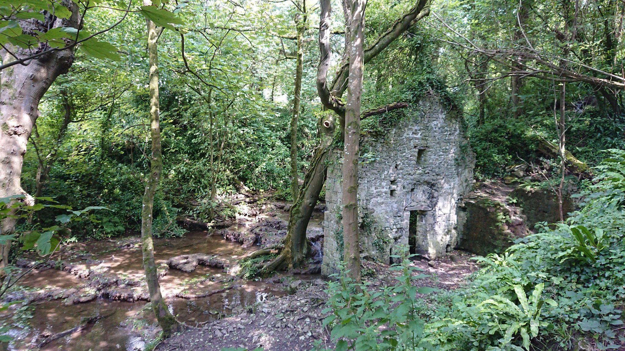 Monknash Beach - Discover The Outdoors